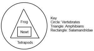 TEAS Science Practice Test | Free ATI TEAS Science Questions